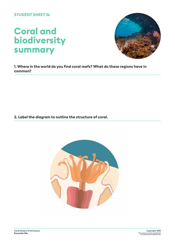Biodiversity Science GCSE: Coral case study | Teaching Resources
