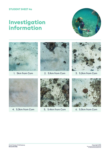 Habitat conservation Science GCSE: Coral Case Study | Teaching Resources