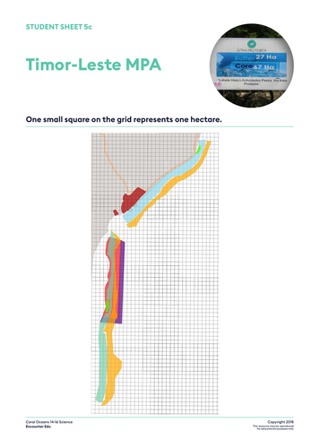 Protecting ecosystems Science GCSE: Coral Case Study | Teaching Resources