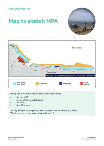 Protecting ecosystems Science GCSE: Coral Case Study | Teaching Resources