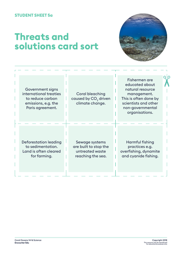 Protecting ecosystems Science GCSE: Coral Case Study | Teaching Resources