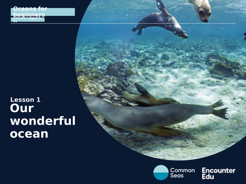Our wonderful ocean KS2 | Teaching Resources
