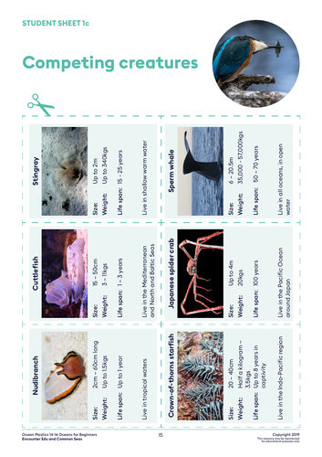 Our wonderful ocean KS4 | Teaching Resources