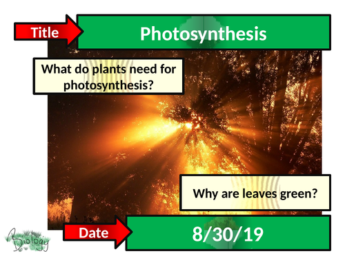 Photosynthesis: leaf adaptations - Activate | Teaching Resources