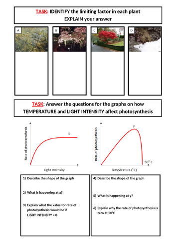 Photosynthesis: Transpiration - Activate | Teaching Resources