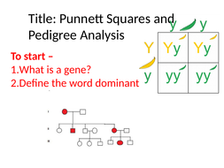 Punnett Squares and Pedigree Analysis | Teaching Resources