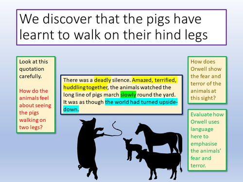 Animal Farm Moses and Boxer | Teaching Resources