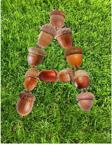 Autumn Natural Letters for Display | Teaching Resources