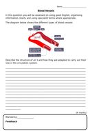 KS4 AQA GCSE Biology (Science) Blood Vessels & Circulation Lesson ...