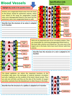 KS4 AQA GCSE Biology (Science) Blood Vessels & Circulation Lesson ...