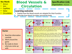 KS4 AQA GCSE Biology (Science) Blood Vessels & Circulation Lesson ...