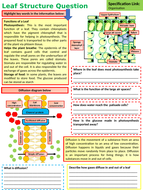 KS4 AQA GCSE Biology (Science) Plant Organ & Tissues Lesson ...