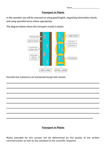 KS4 AQA GCSE Biology (Science) Plant Organ & Tissues Lesson ...