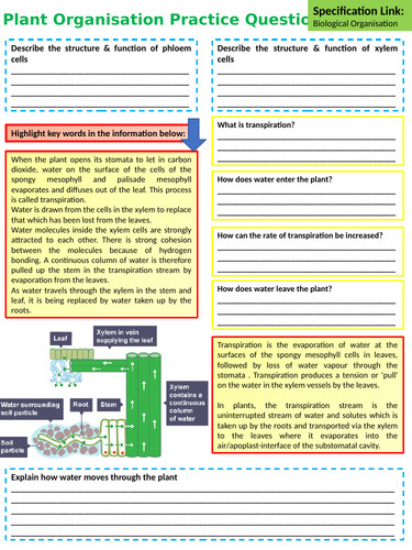 KS4 AQA GCSE Biology (Science) Plant Organ & Tissues Lesson ...