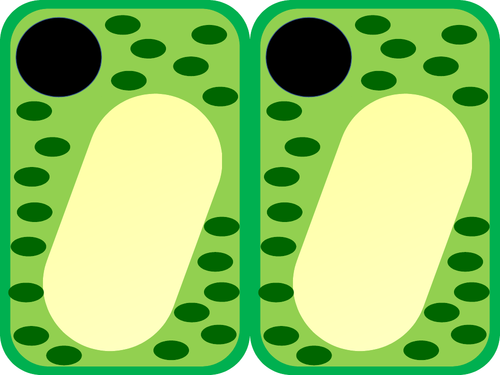 KS4 AQA GCSE Biology (Science) Plant Organ & Tissues Lesson ...