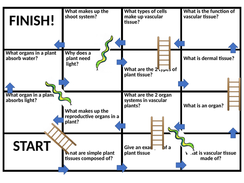 KS4 AQA GCSE Biology (Science) Plant Organ & Tissues Lesson ...