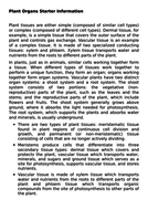 KS4 AQA GCSE Biology (Science) Plant Organ & Tissues Lesson ...