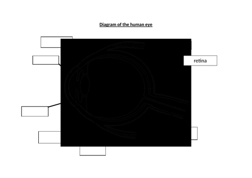 The eye as a sense organ (CIE IGCSE Biology) | Teaching Resources
