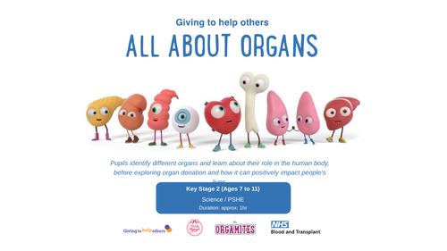 All about Organs - 'Giving to help others' Lesson | Teaching Resources