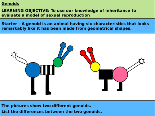 Genoids - A hands-on modelling activity on genetic inheritance ...