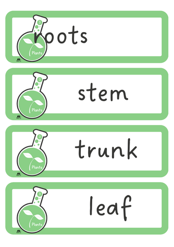 Year 3 Primary Science - Scientific Vocabulary Cards | Teaching Resources