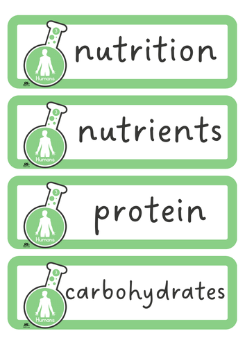 Year 3 Primary Science - Scientific Vocabulary Cards | Teaching Resources