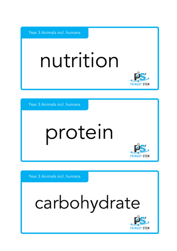 Year 3 Primary Science - Scientific Vocabulary Cards | Teaching Resources