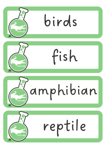 Year 1 Primary Science - Scientific Vocabulary Cards | Teaching Resources