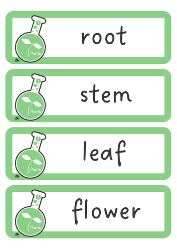 Year 1 Primary Science - Scientific Vocabulary Cards | Teaching Resources