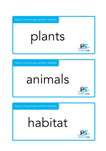 Year 2 Primary Science - Scientific Vocabulary Cards | Teaching Resources
