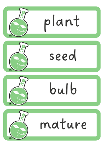 Year 2 Primary Science - Scientific Vocabulary Cards | Teaching Resources