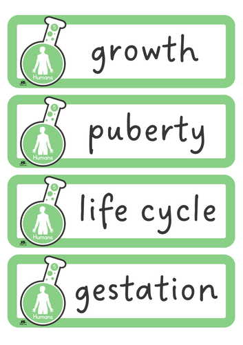 Primary Science - Scientific Vocabulary Cards | Teaching Resources