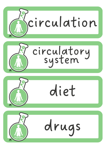 Year 6 Primary Science - Scientific Vocabulary Cards | Teaching Resources