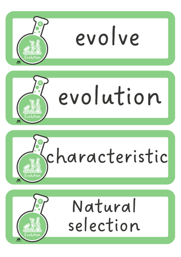 Year 6 Primary Science - Scientific Vocabulary Cards | Teaching Resources