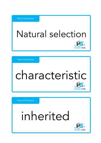Year 6 Primary Science - Scientific Vocabulary Cards | Teaching Resources