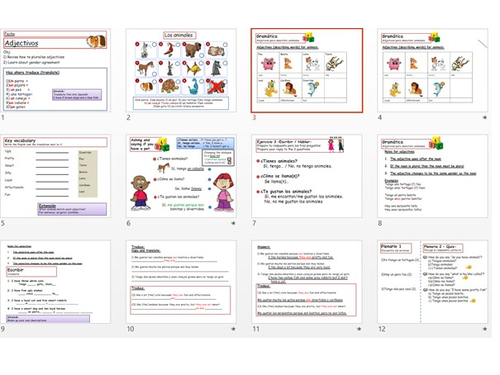 Lesson 26 Adjectives ser | Teaching Resources