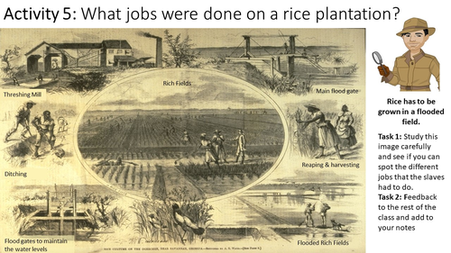 Life on the Plantation | Teaching Resources