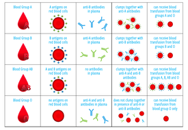 Blood groups - Card Sort (KS3/4) | Teaching Resources