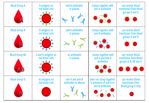 Blood groups - Card Sort (KS3/4) | Teaching Resources