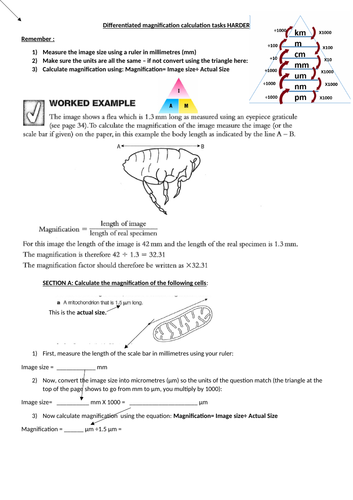 Microscopes and Magnification (Required Practical) | Teaching Resources Microscopes and Magnification (Required Practical) | Teaching Resources