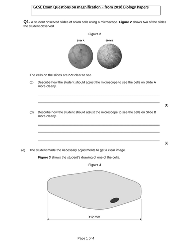 Microscopes and Magnification (Required Practical) | Teaching Resources Microscopes and Magnification (Required Practical) | Teaching Resources