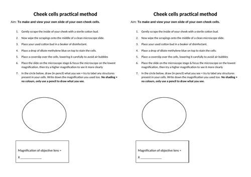 AQA Cells Topic 1 (GCSE Combined AND Triple Science: BIOLOGY ...
