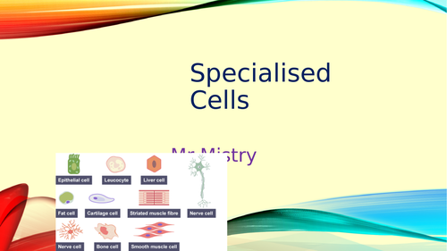 Specialised Cells (AQA GCSE 9-1 Biology: Cells) | Teaching Resources