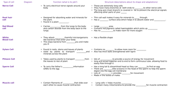 Specialised Cells (AQA GCSE 9-1 Biology: Cells) | Teaching Resources