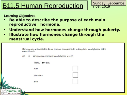 KS4 B11.5 Human Reproduction | Teaching Resources