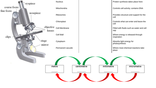 Cells and Microscopes Revision Lesson | Teaching Resources
