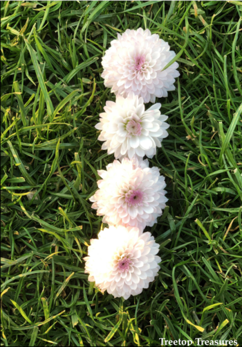 Natural Number 1 | Teaching Resources