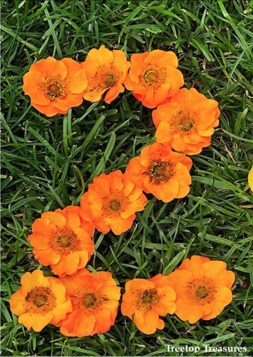 Natural Number 2 | Teaching Resources