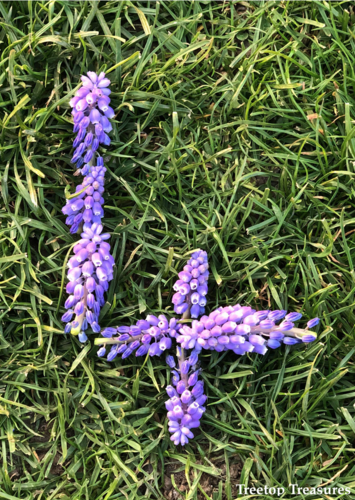 Natural Number 4 | Teaching Resources