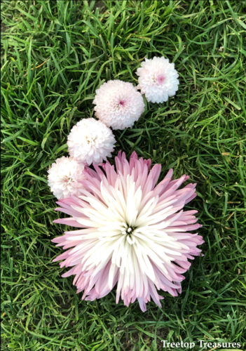 Natural Number 6 | Teaching Resources